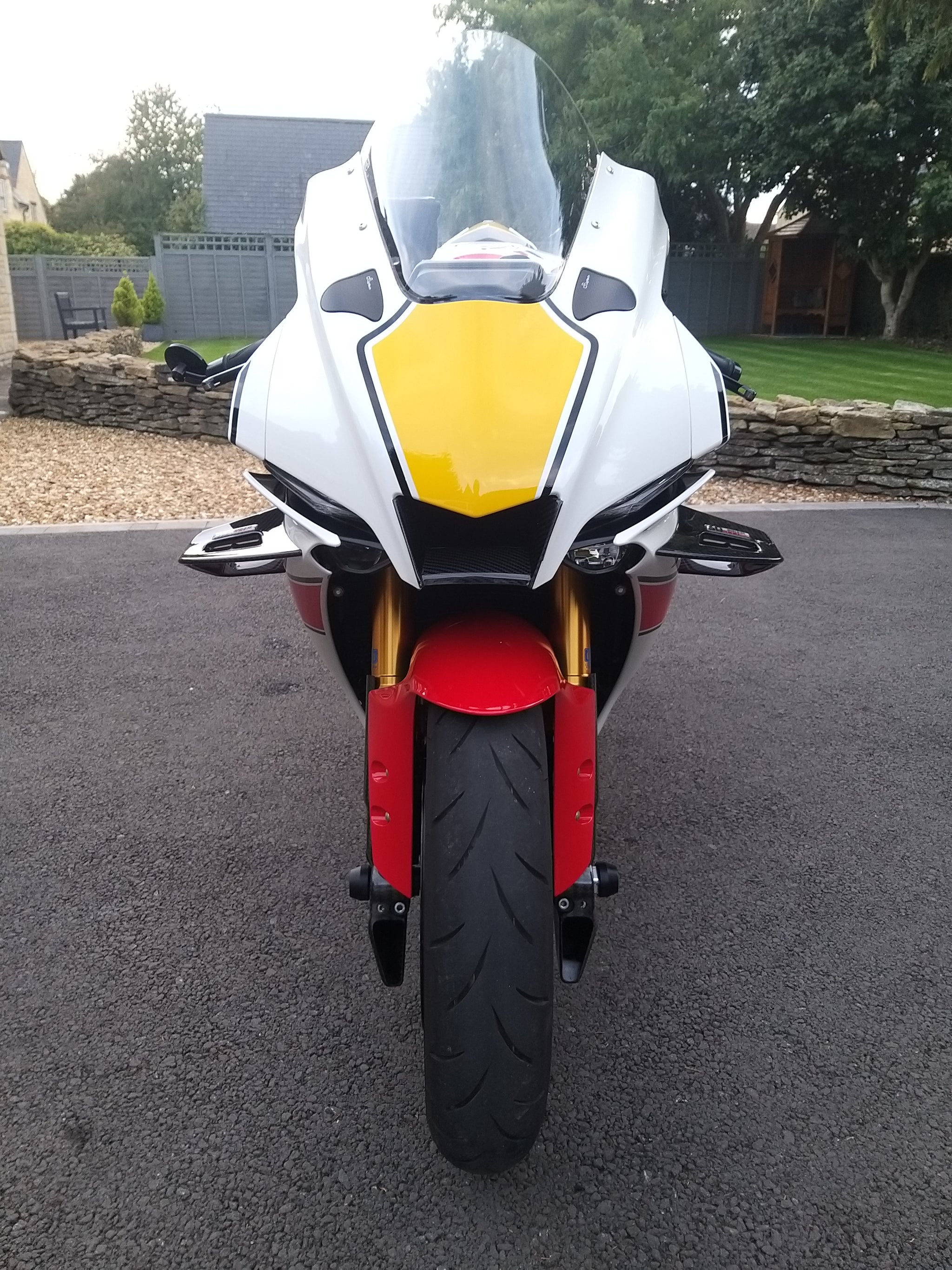 DRY Carbon Fiber Winglets for 2020 - 2024 YAMAHA R1 RN49 – TL Motor