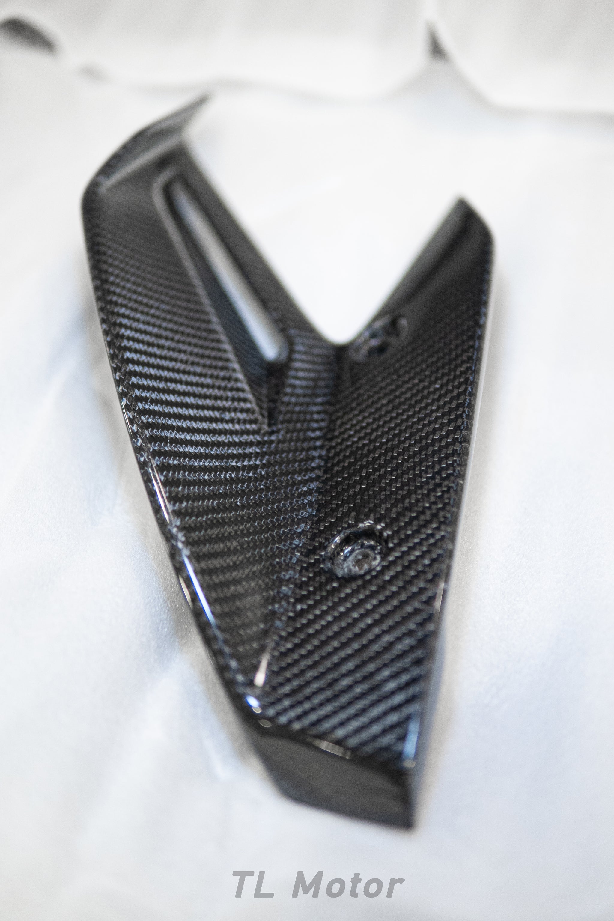 Carbon Fiber Winglets for 2015 - 2019 BMW S1000RR (K46) – TL Motor