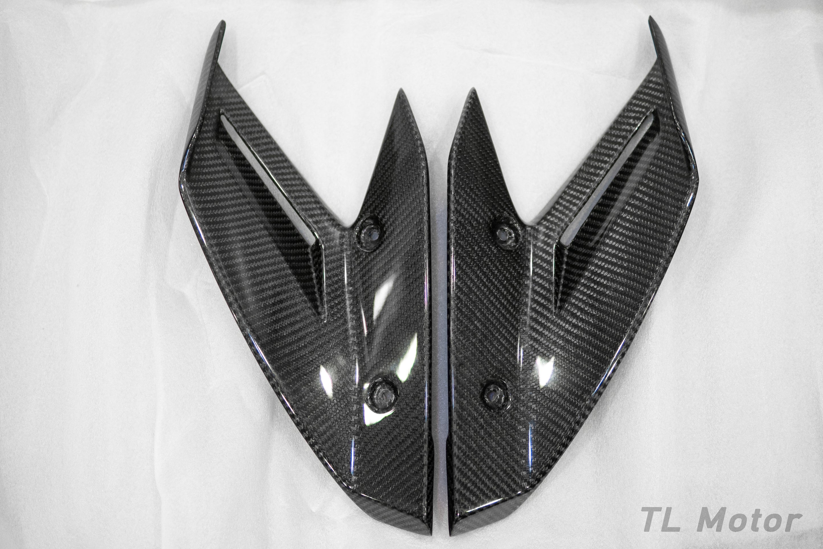 Carbon Fiber Winglets for 2015 - 2019 BMW S1000RR (K46) – TL Motor